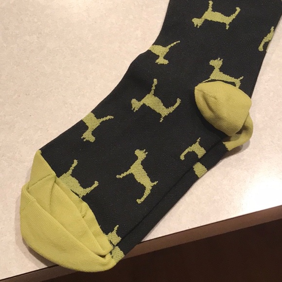 fanglaoda | Accessories | Fenglaoda Compression Socks Blackgreen Dog ...